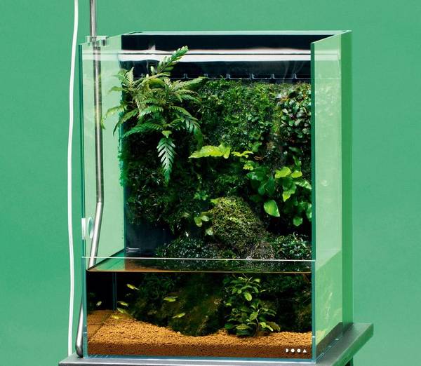 Ada / DOOA | Kvalitetsprodukter på nett