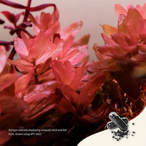 2hr APTe EI plant fertilizer - 300 ml - Akvarieboden